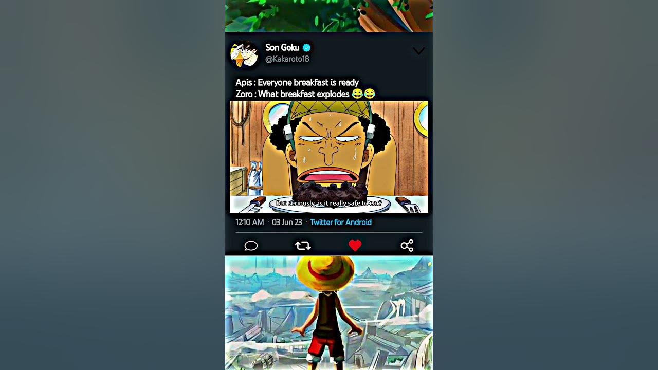 Onepiece Luffy Zoro Sanji Usopp Nami Apis Youtube
