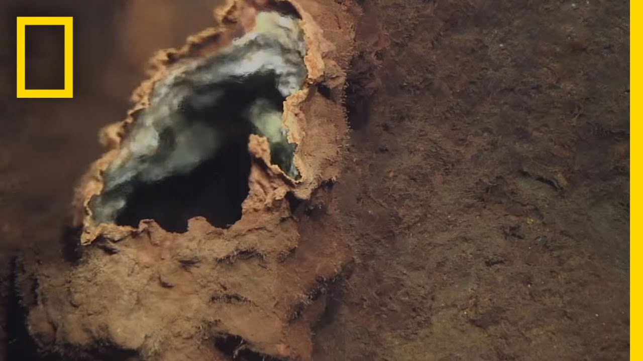 Hydrothermal Ocean Vents Found in Surprisingly Shallow Water | National ...