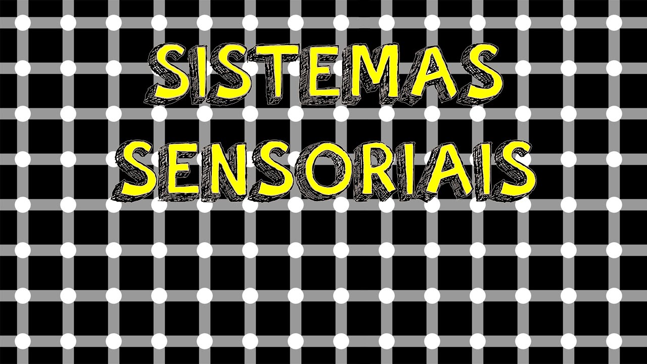 Aula 05a - Introdução aos Sistemas Sensoriais - YouTube