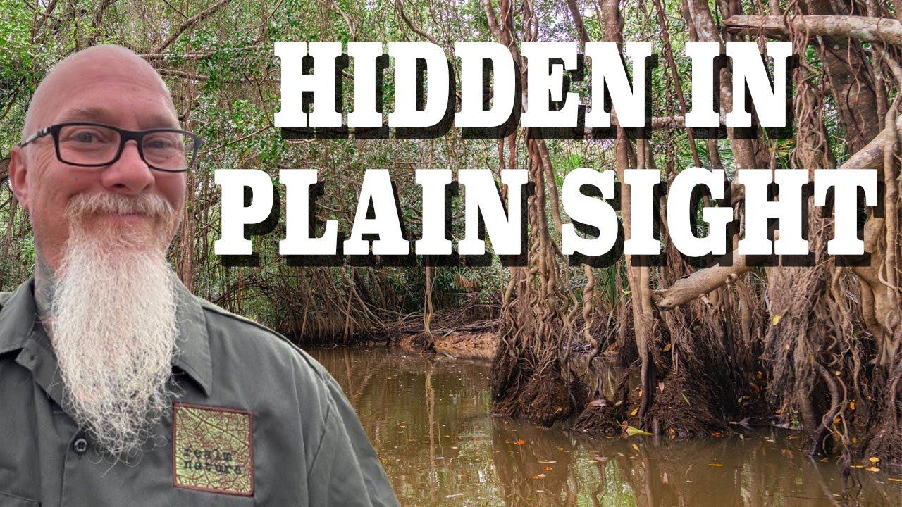 Hidden in plain sight: Bizarre new critters are true masters of ...