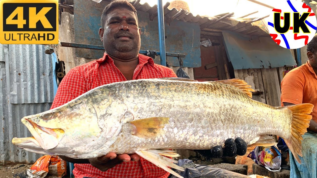 ORIGINAL KODUVA FISH CUTTING | FISH CUTTING SKILLS | FISH CUTTING ...