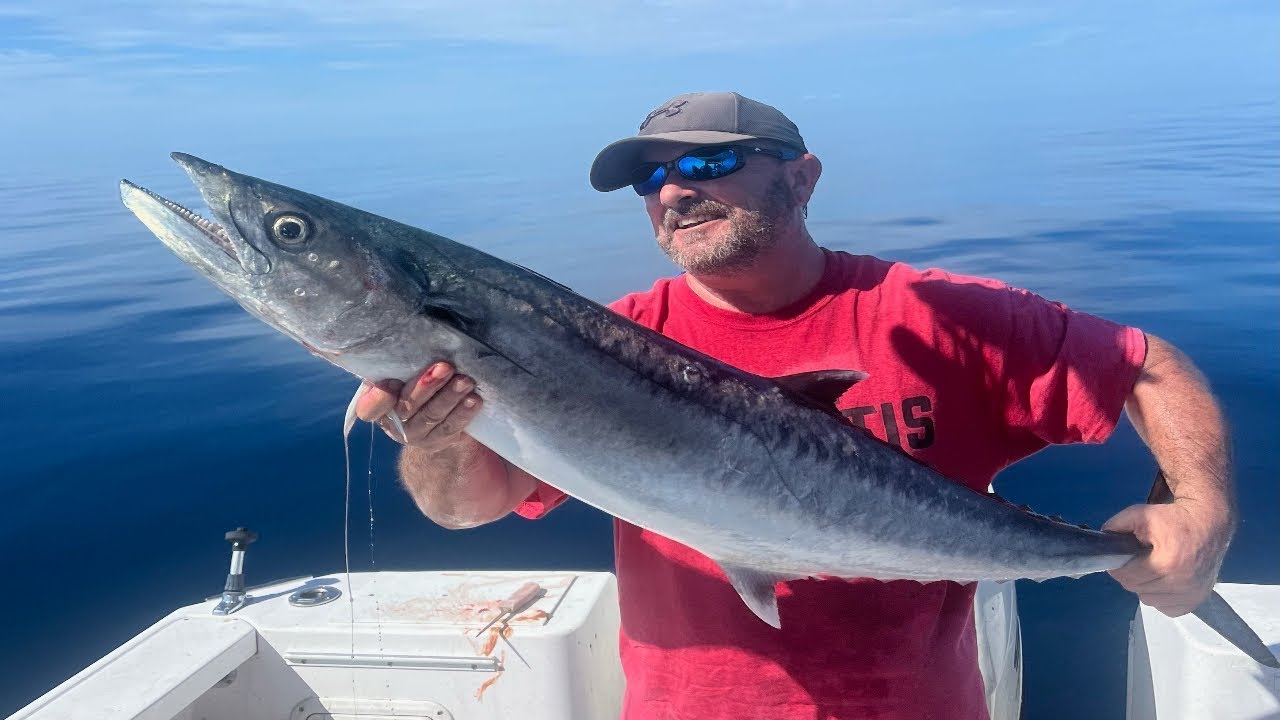 Monster Kingfish caught in Florida: Epic fishing Adventure! - YouTube
