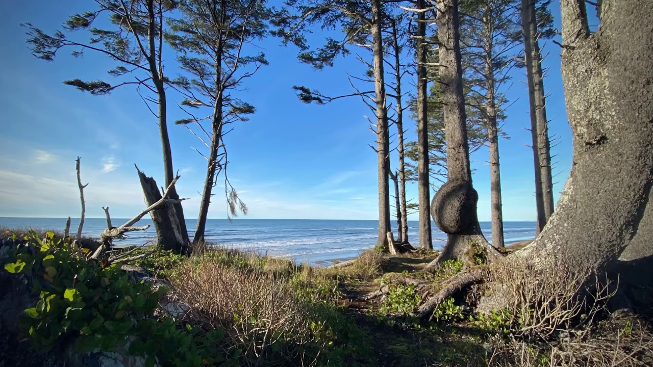 Beautiful PNW - YouTube