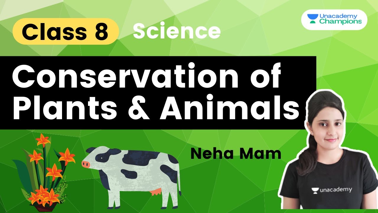 Conservation of Plants and Animals | Class 8 Science Sprint | Class 8 ...