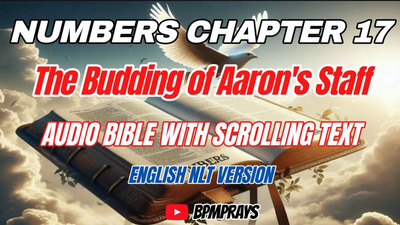 NUMBERS CHAPTER 17 | THE BUDDING OF AARON’S STAFF - YouTube