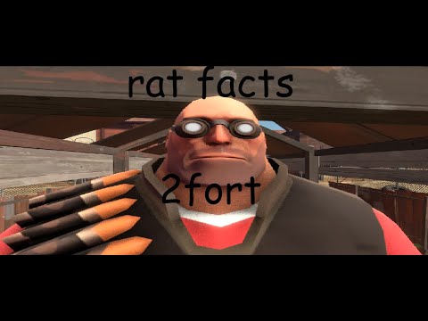 rat facts 2Fort [TF2] - YouTube