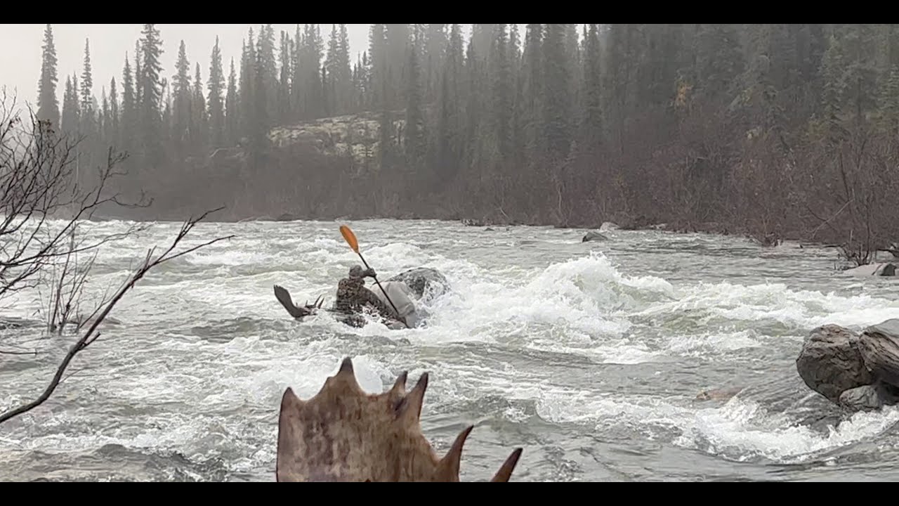 Alaska archery moose hunt - YouTube