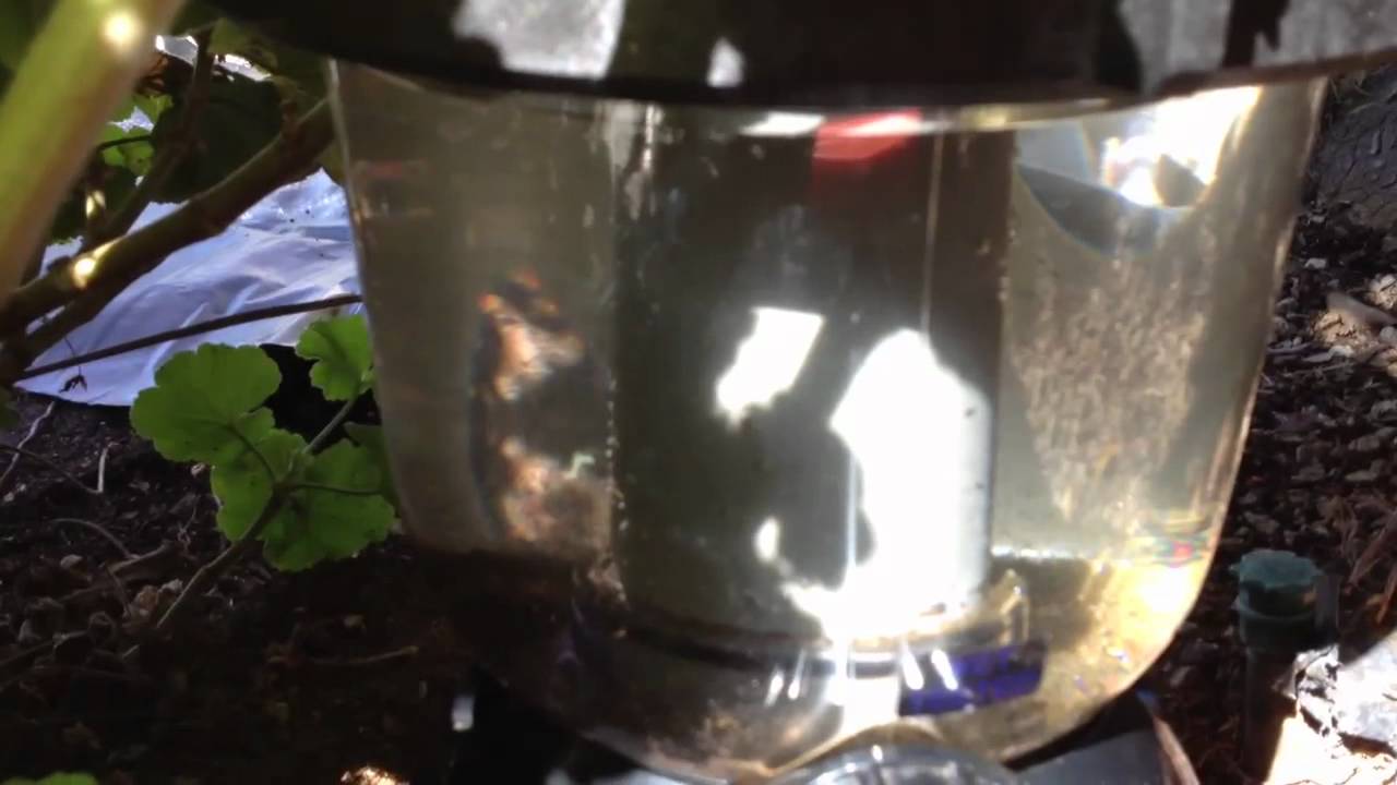 Waterco Multicyclone 50 Koi pond install - YouTube