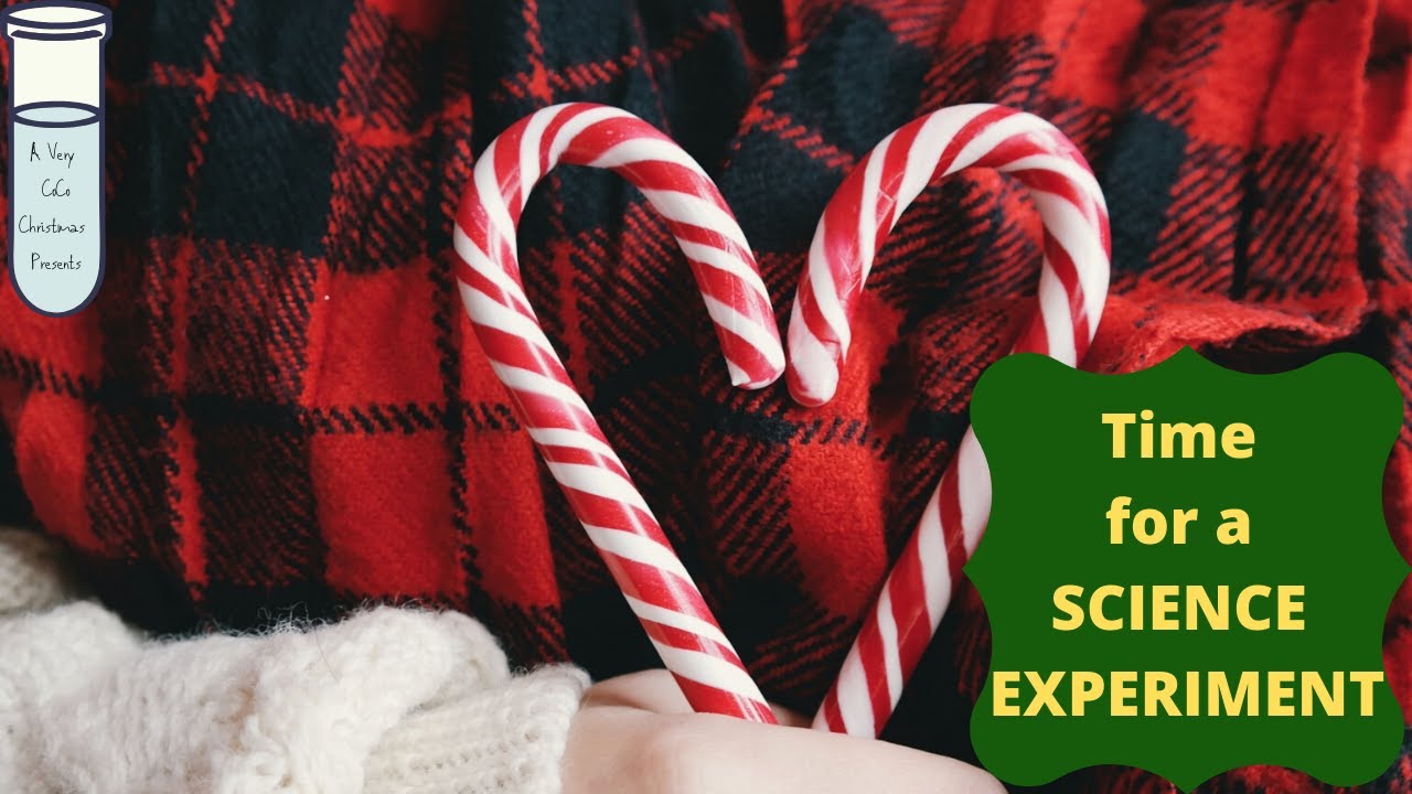 Time For A Science Experiment | A Very CoCo Christmas Day 14 - YouTube