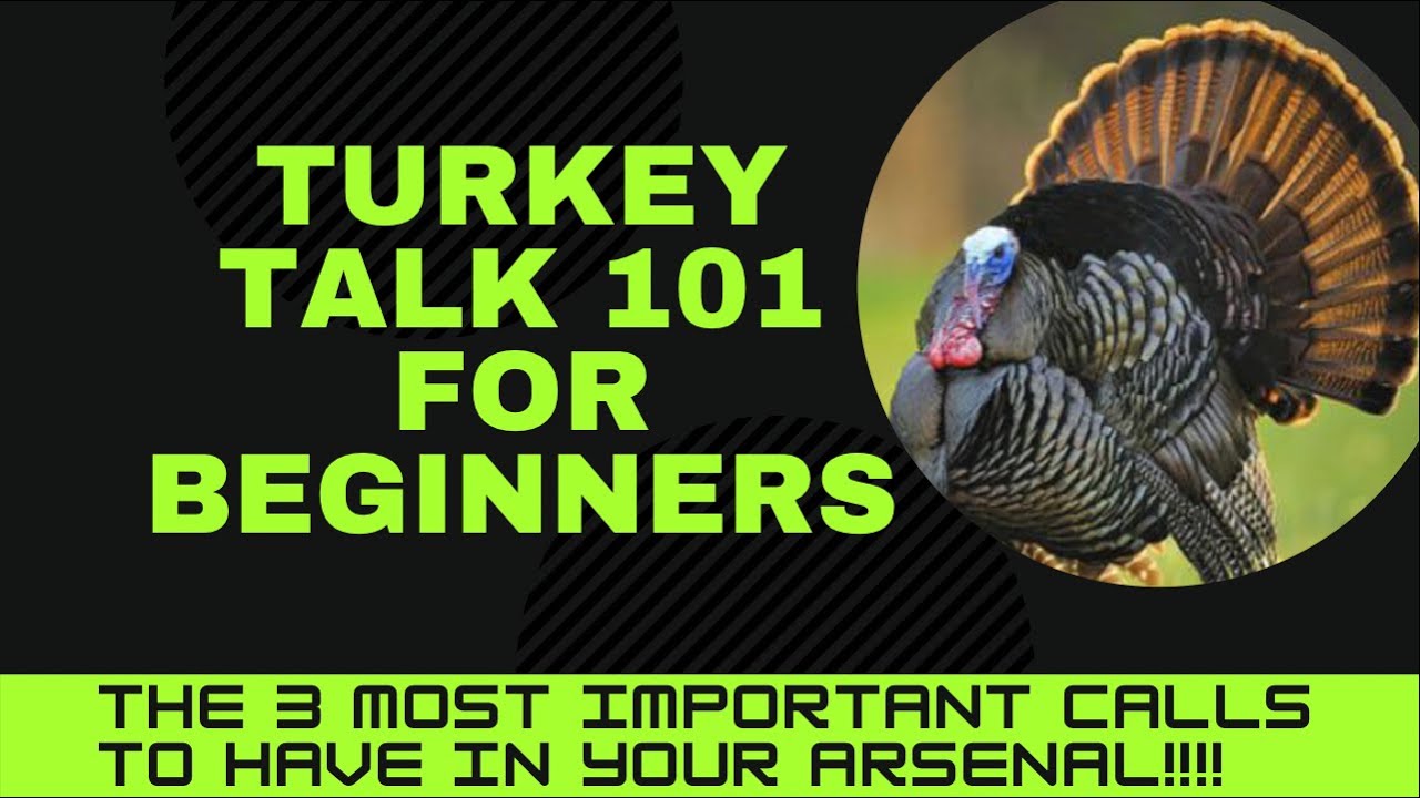 Turkey Talk 101 for Beginners: The Yelp, Cut, and Purr - YouTube