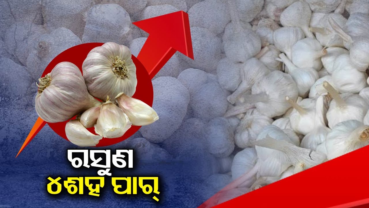 Garlic prices hit at Rs 400 Per Kg? Know why the price is soaring ...