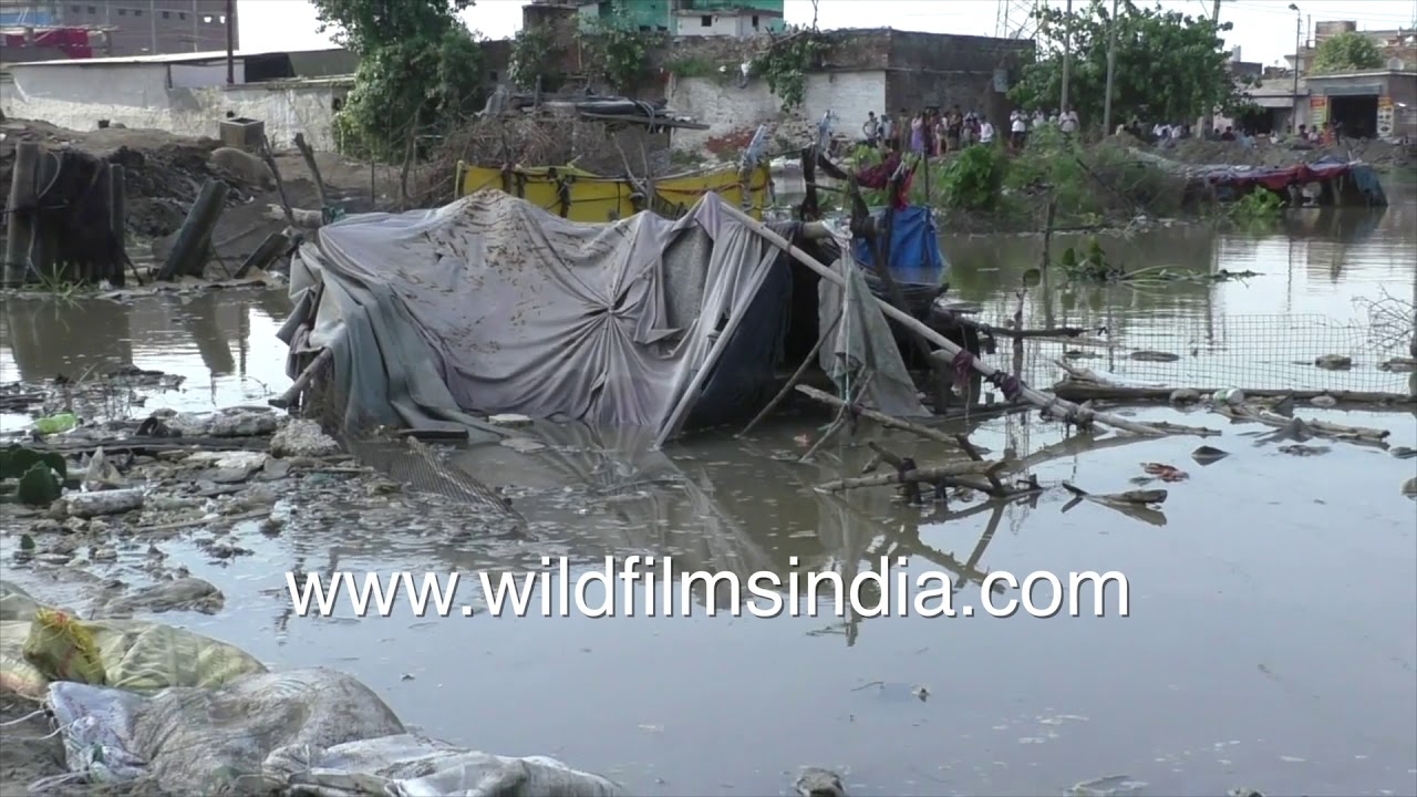 Flooding at slum settlement in Punjab | Submerged shacks, residents in ...