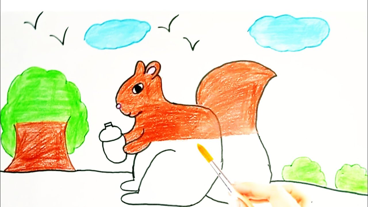 squirrel drawing |how to draw a squirrel|easy drawing for kids ...