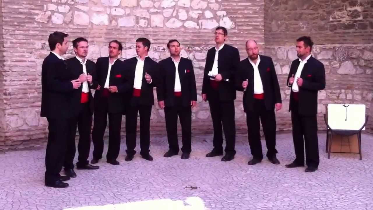 Croatian Klapa Performance - YouTube