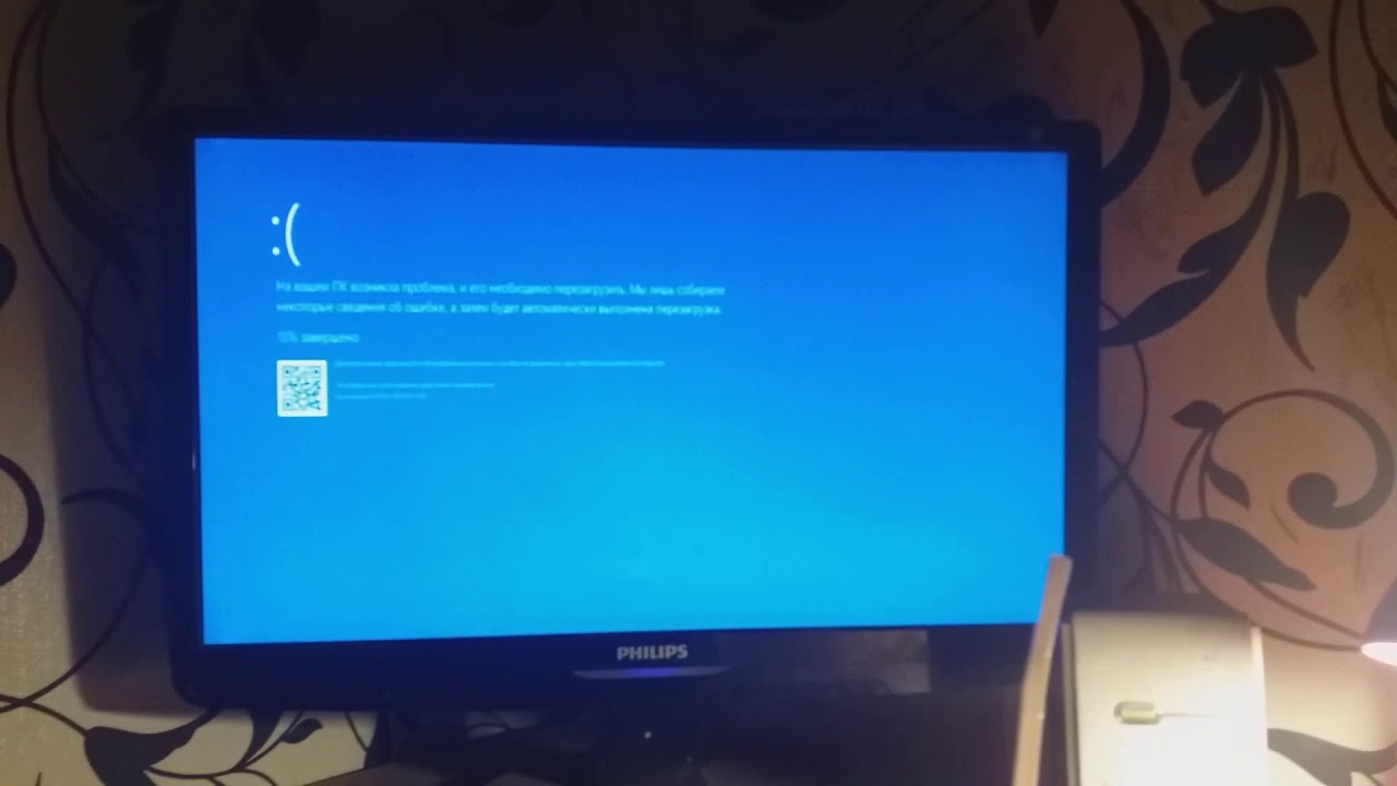 Белка и Стрелка has BSOD 1 - YouTube