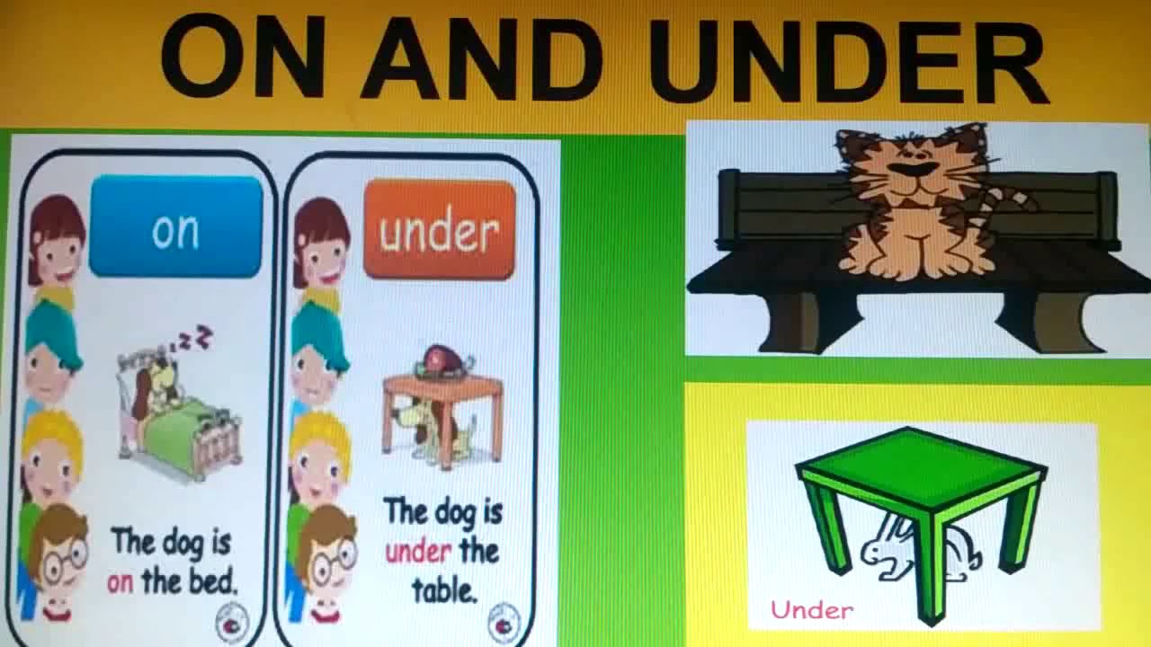 Class 1 Maths Ch 1 Pre numbers concept Revision lecture 1 - YouTube