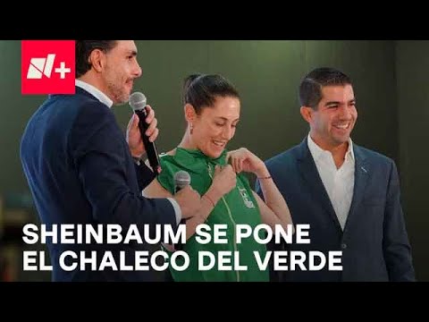 Claudia Sheinbaum recibe espaldarazo del Partido Verde - Despierta ...