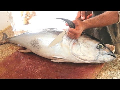Giant Tuna Fish Cutting! Amazing Fish Cutting Skills - YouTube