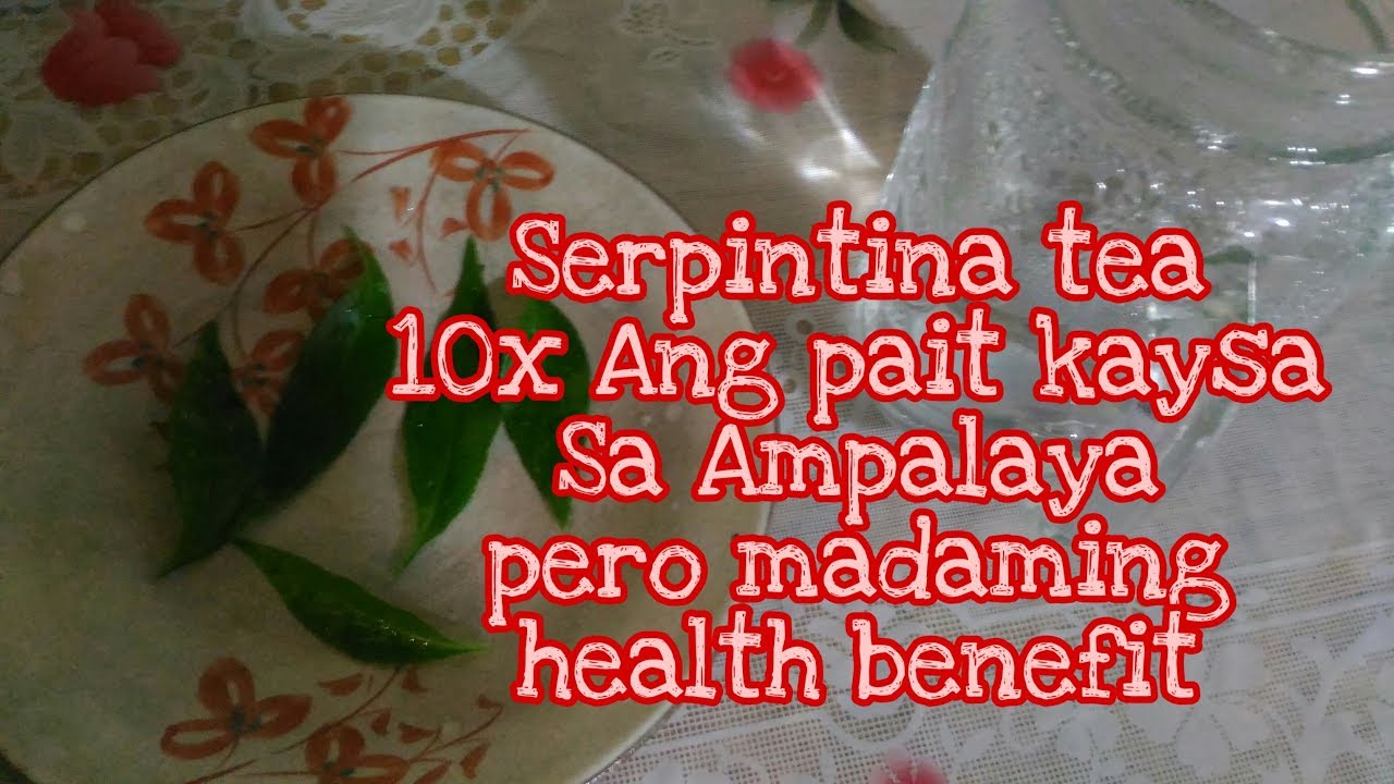 How to prepare my serpentina tea ( my everyday herbal tea ,AUGUST vlog ...