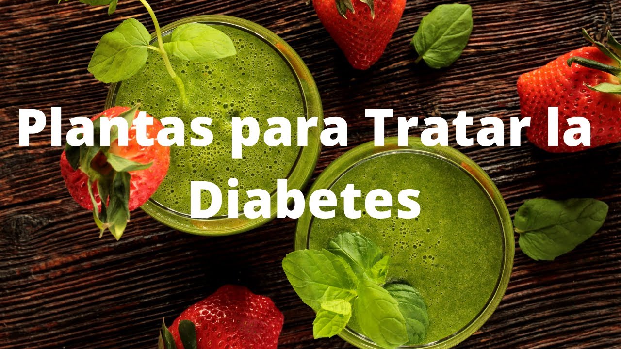 Solución Natural a la Diabetes-Plantas para tratar la Diabetes-Remedios ...
