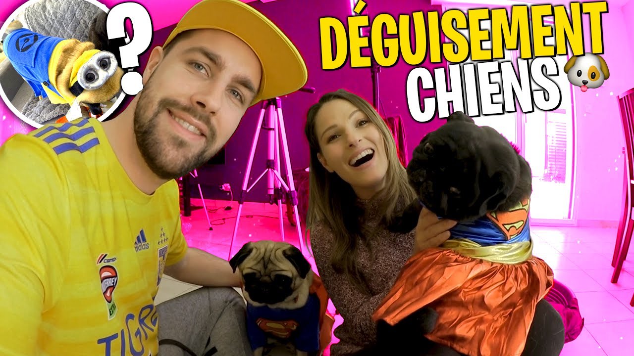 Je déguise mes chiens avec des costumes, on est mort de rire avec ...