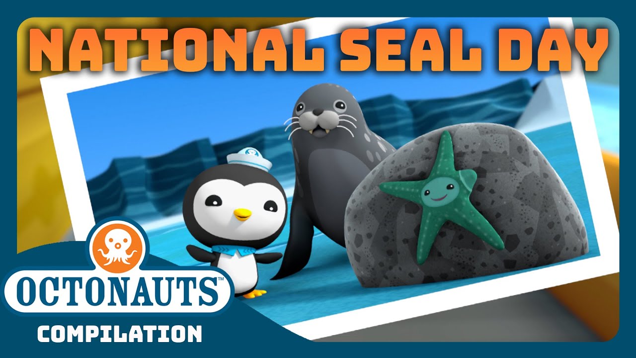 @Octonauts - 🤿 Adventures with Seals 🦭 Seal Day Celebration | 1 Hour+ ...
