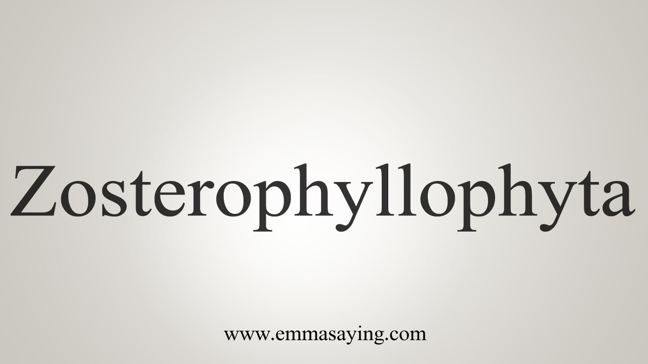 How To Say Zosterophyllophyta - YouTube