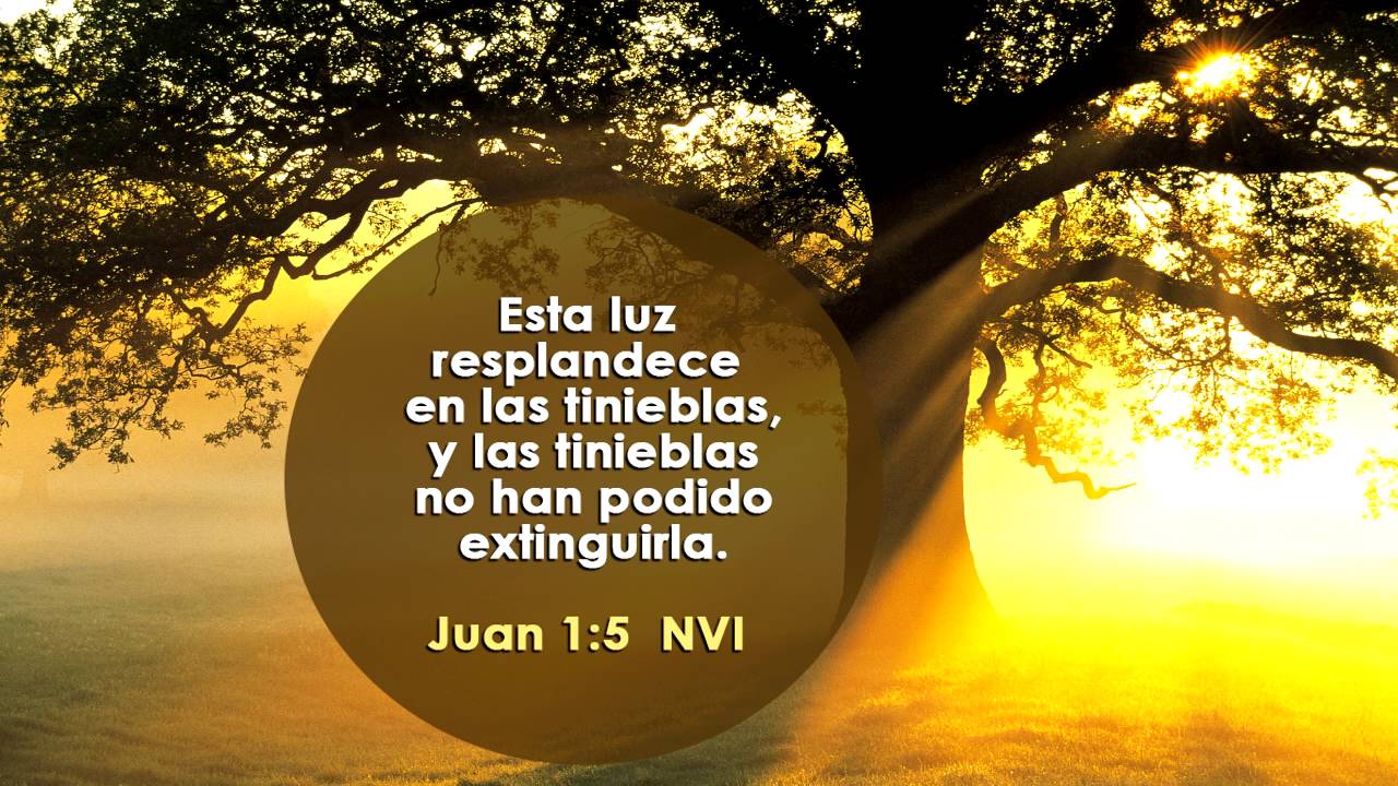 8 Juan 1 5 NVI YouTube