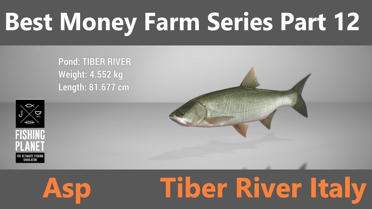 Fishing Planet, Best Money Farm Series Part 12, Asp, Tiber River Italy ...