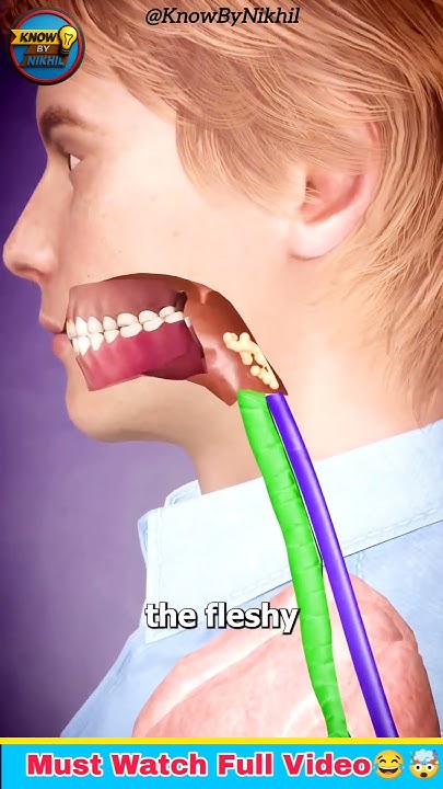 Swallowing Down The Wrong Pipe in 3D Animation #shortvideo - YouTube