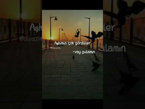 En güzel kürtçe kısa şarkı whatsapp durum videoları aşk ve duygusal 71