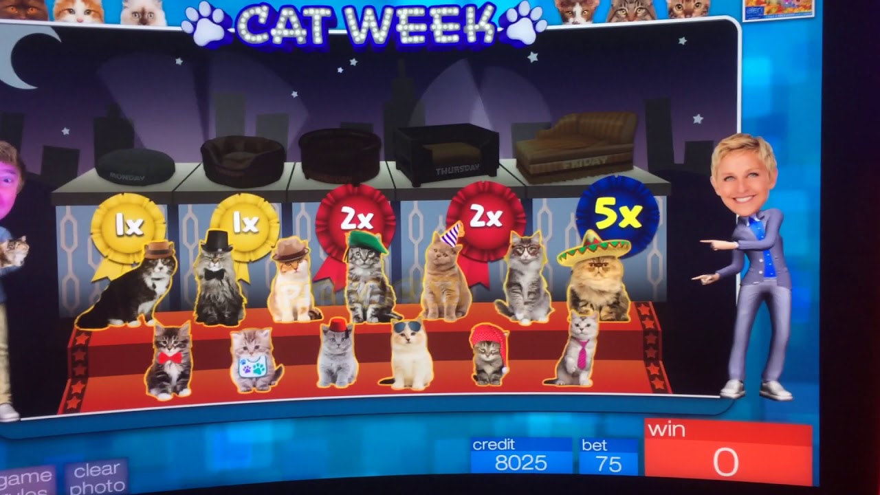 Ellen Cat Week Slots - YouTube