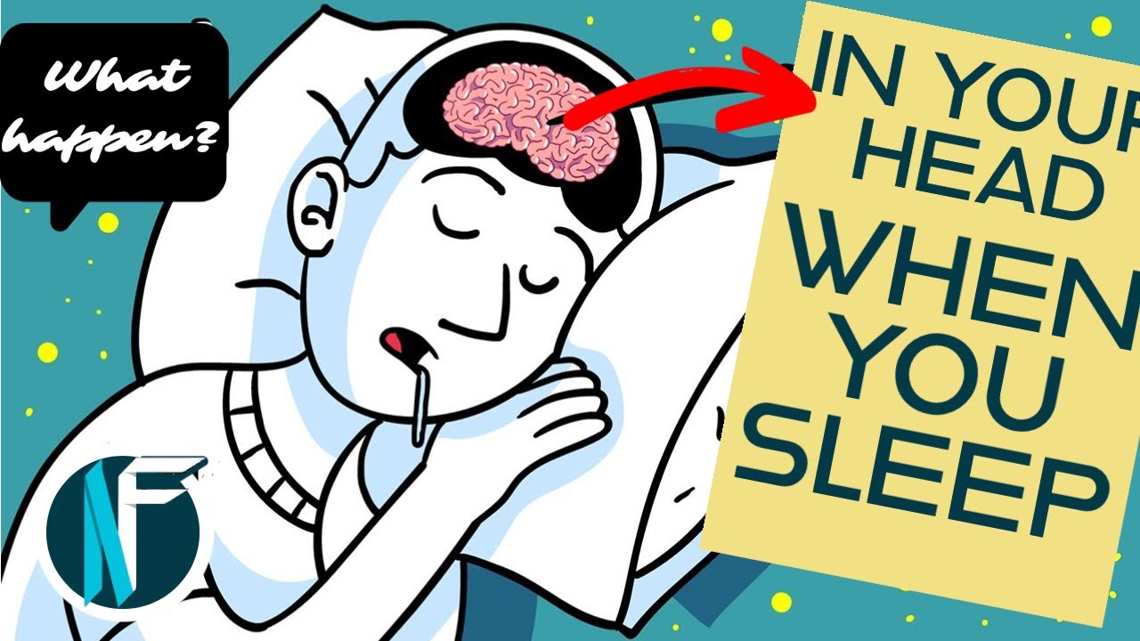 Things Happen While We Sleep | What Happens When You Sleep - Brain ...