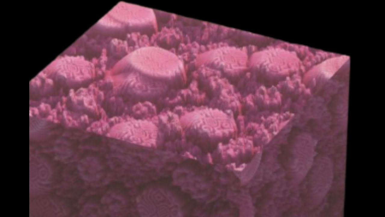 1 Bit 2 Bit 4 Bit 8 Bit 16 BIT 32 Bit 128 Bit 256 Bit 512 Bit 1024 Bit ...