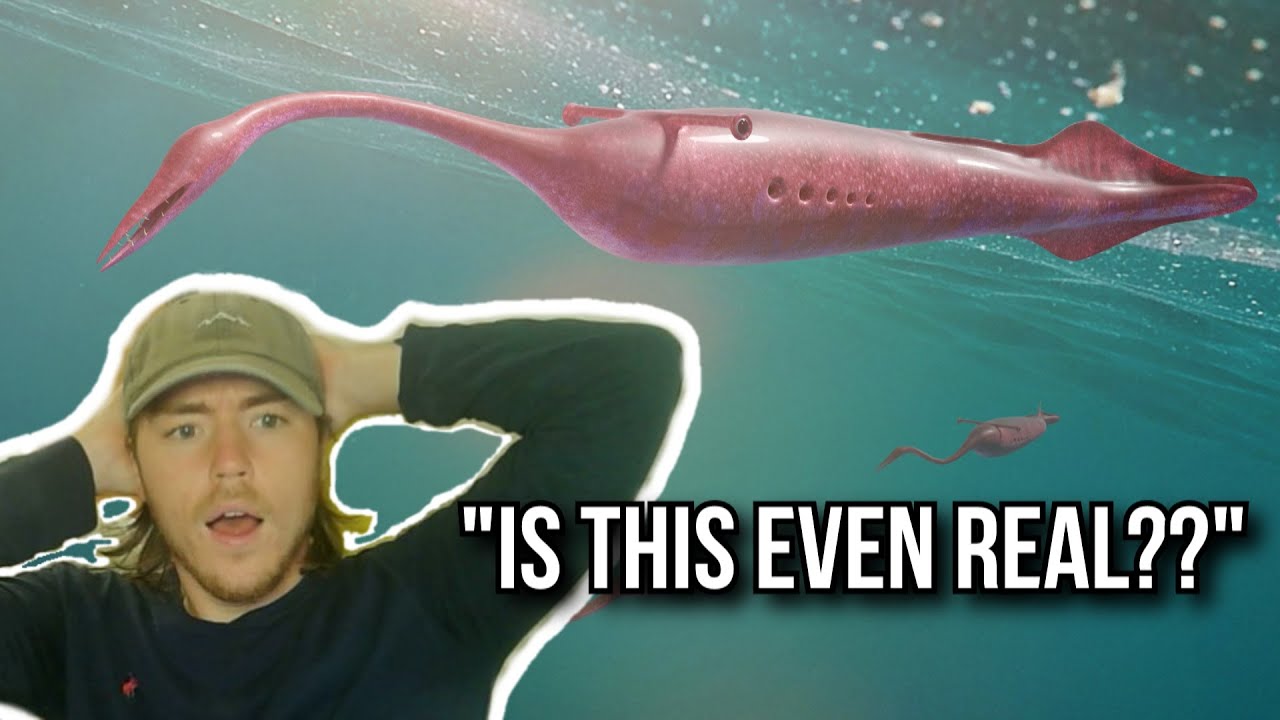 Fish Biologist Reacts To "Top 6 Mysterious & Unexplained Animals" - YouTube
