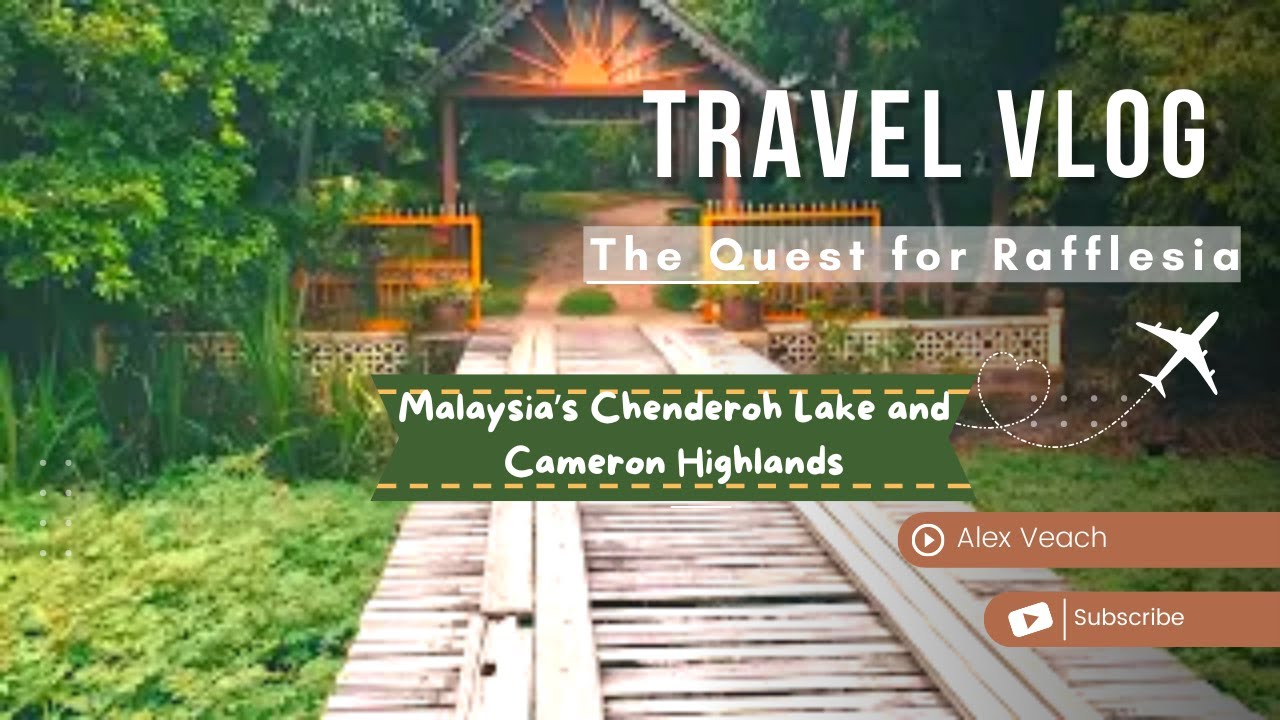 Malaysia's Chenderoh Lake and Cameron Highlands | The Quest For Rafflesia | Travel Vlog - YouTube