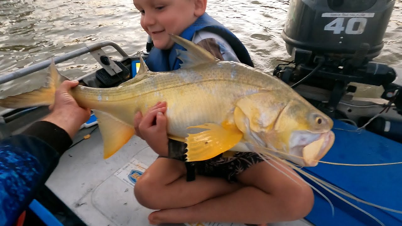 Finding GOLD in the Fitzroy!!! Threadfin salmon fishing - YouTube