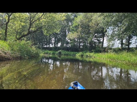 Kayaking the Fawn River - YouTube
