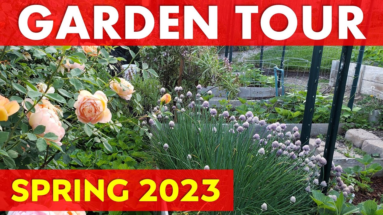 Spring Garden Tour | Flowers, Herbs, Vegetables & Fruit - YouTube