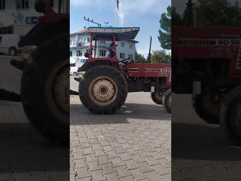 Bozkuş Köyü hareketli bugün