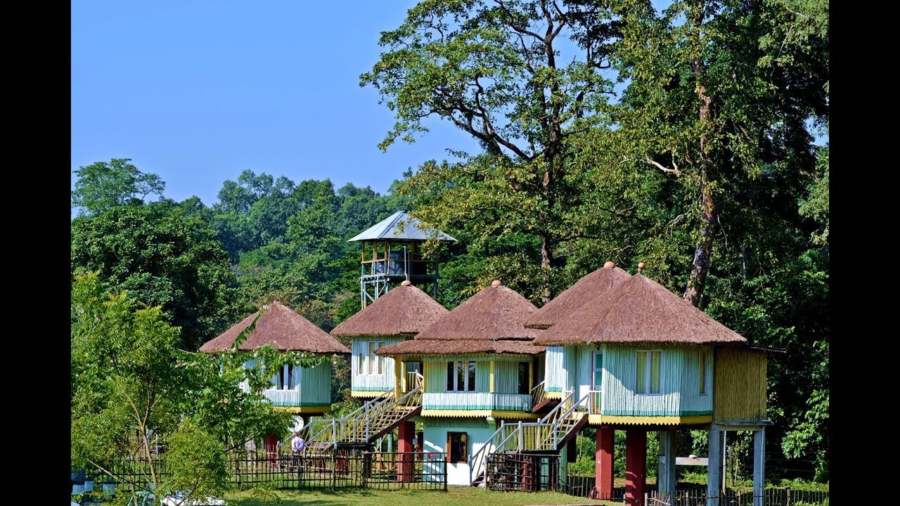 Gorumara Eco Village, Kalipur l Gorumara National Park l Ramsai l South ...