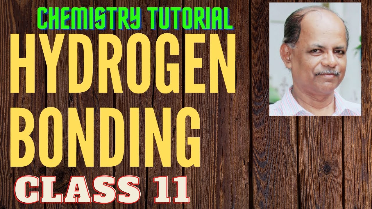 How To Study hydrogen bonding - Wikipedia by Haridas - Class 11- CBSE ...