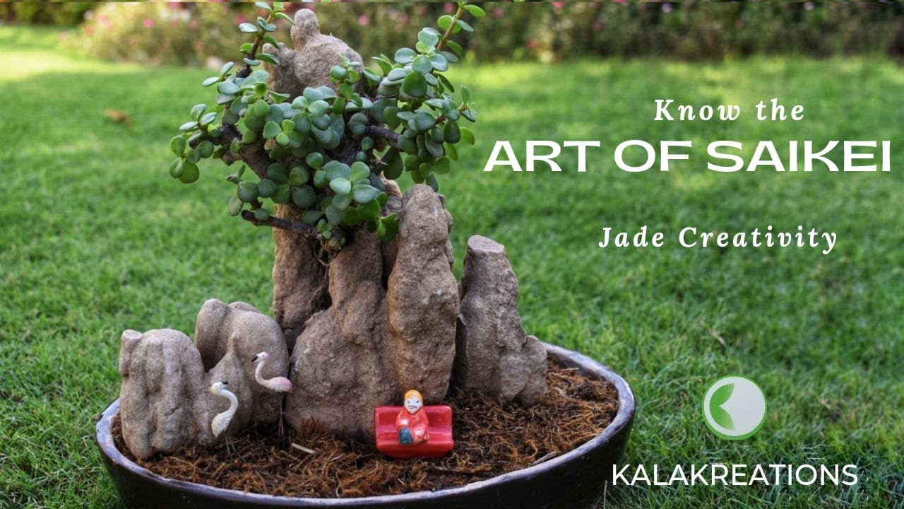 ART OF SAIKEI |TRAY GARDEN | MINIATURE LANDSACPE | पत्थर से खूबसूरत ...