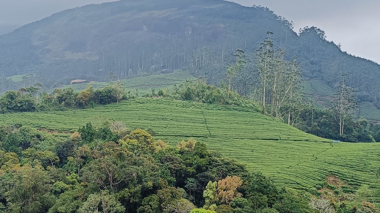 Burj Munnar🌅🌅#goodmorning #trendingshorts #shortsviral - YouTube