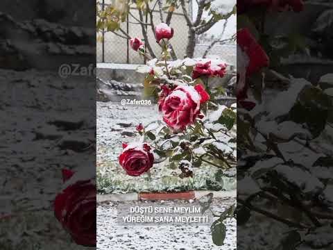 MAHUR TASNİFİ MİN NAZ İLE BAXDI  ( BİN NAZ İLE BAKTI )