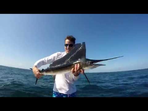 Snapper and Snook Inshore then mini Sailfish Offshore - YouTube