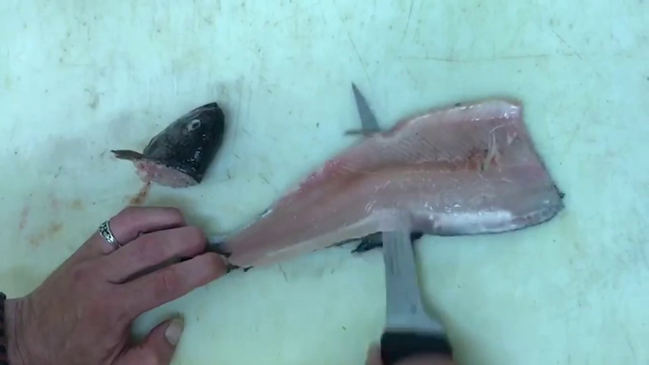 Fishing in the City: How to Fillet a Fish - YouTube