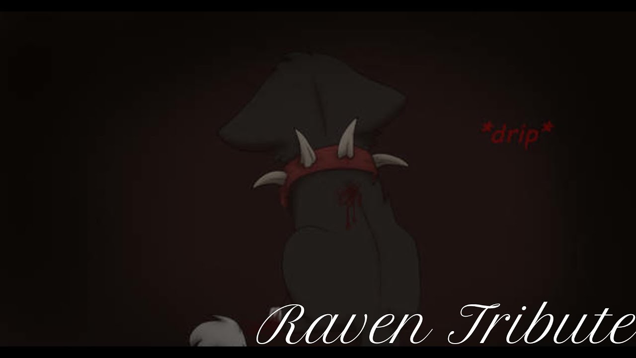 Raven Tribute - Solo - YouTube