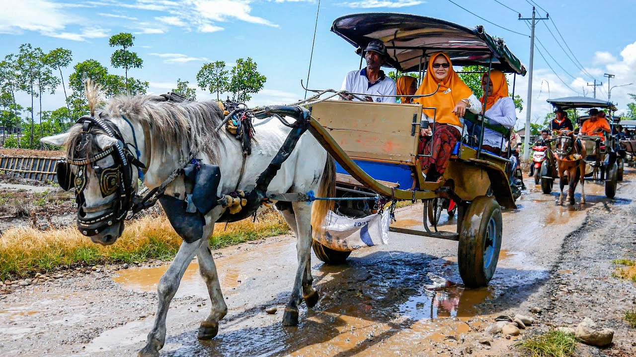 KUDA | KUDA DELMAN - NAIK KUDA | LAGU NAIK DELMAN, POTONG BEBEK, NAIK ...