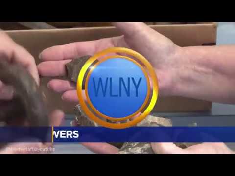 [WLNY] WLNY 1055 News at 9pm - YouTube